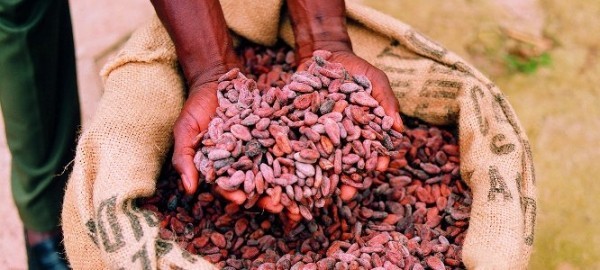Trading & Shipping - International Cocoa Organization