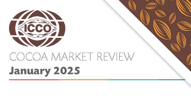 International Cocoa Organization - Cocoa Market Report for January 2025