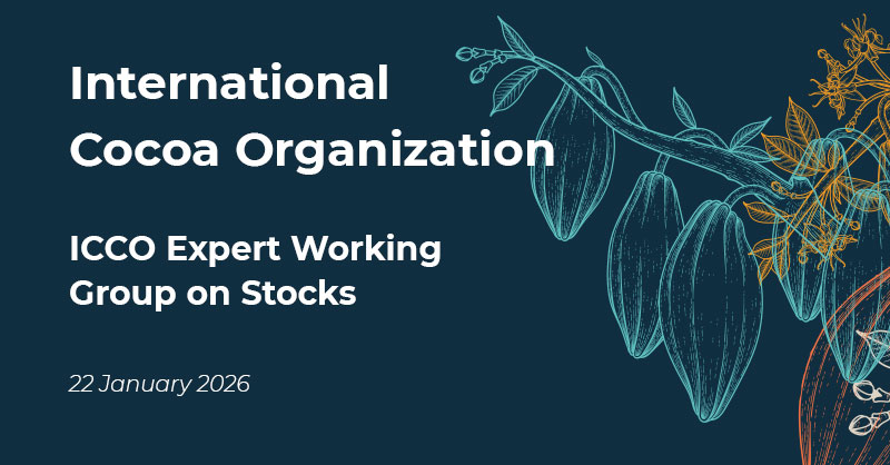 World cocoa bean stocks for the 2024/25 season