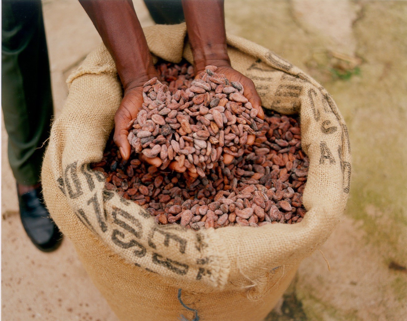 Who we are - International Cocoa Organization